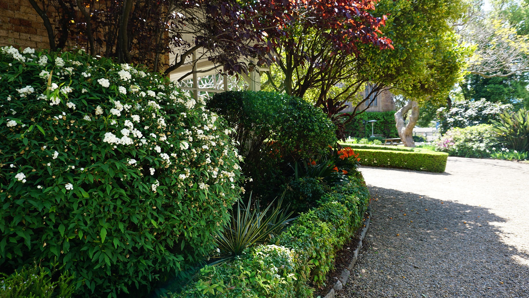 Landscape Maintenance Programmes at your School - Solid Ground Landscaping