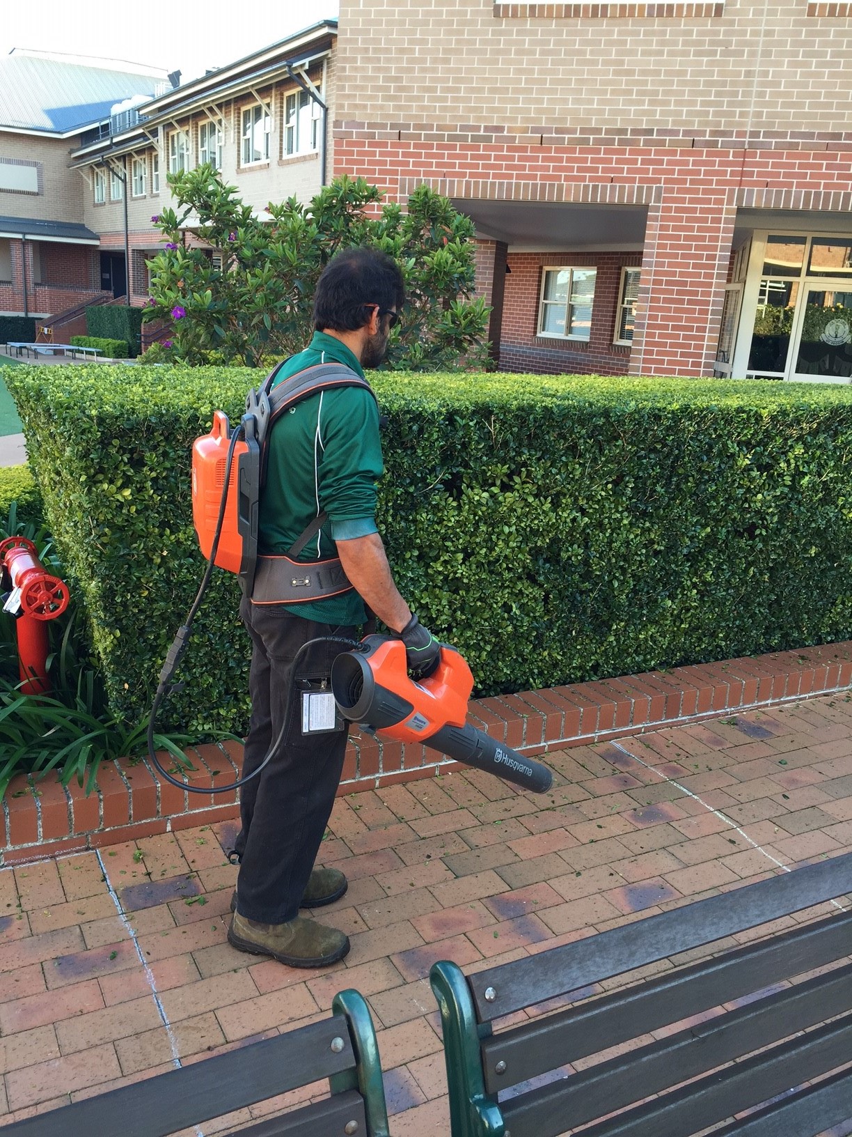 Solid Ground Landscaping Lead the Way on Environmental Issues - Solid ...