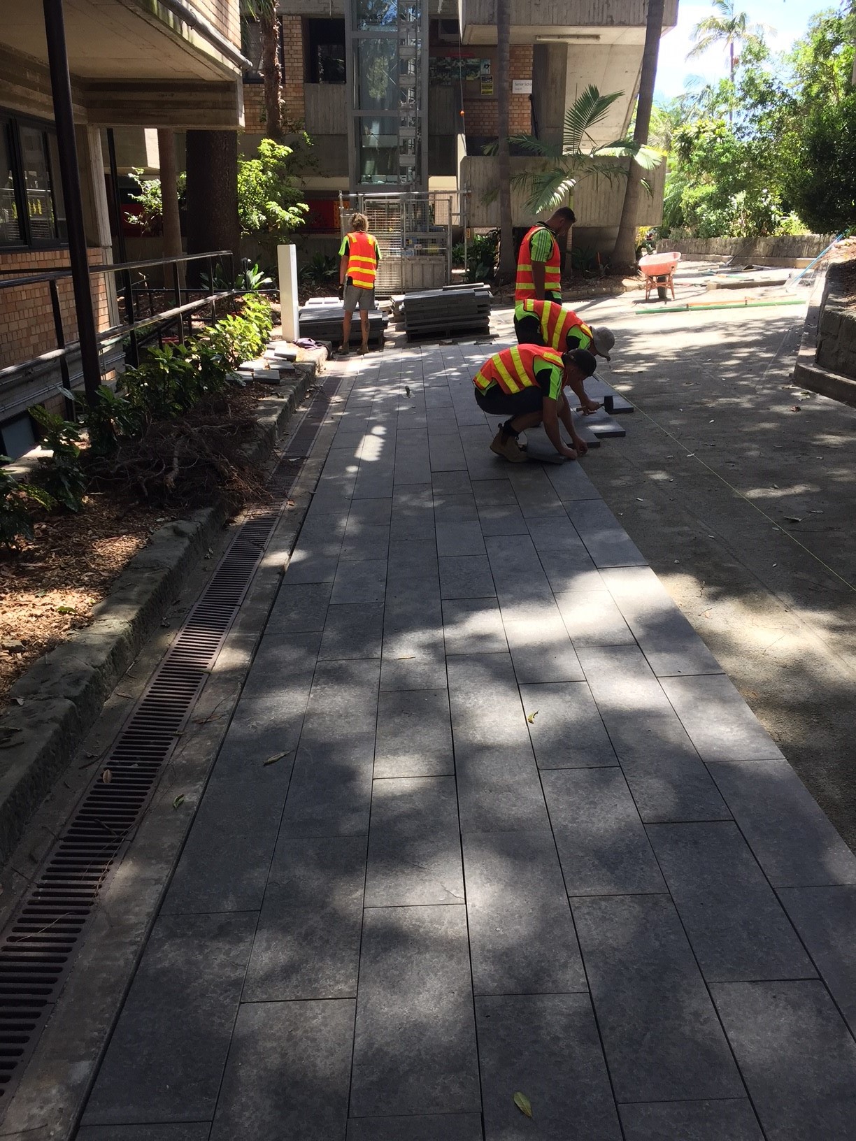 Solid Ground Landscaping Enhances another High Profile Sydney School ...