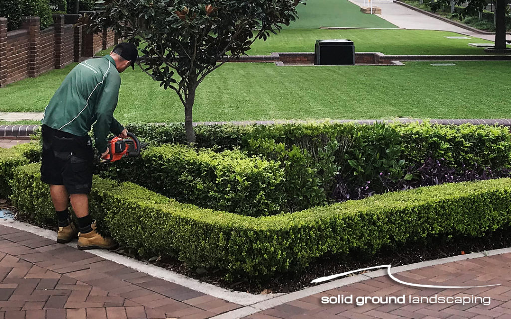 Meticulous Maintenance - Solid Ground Landscaping