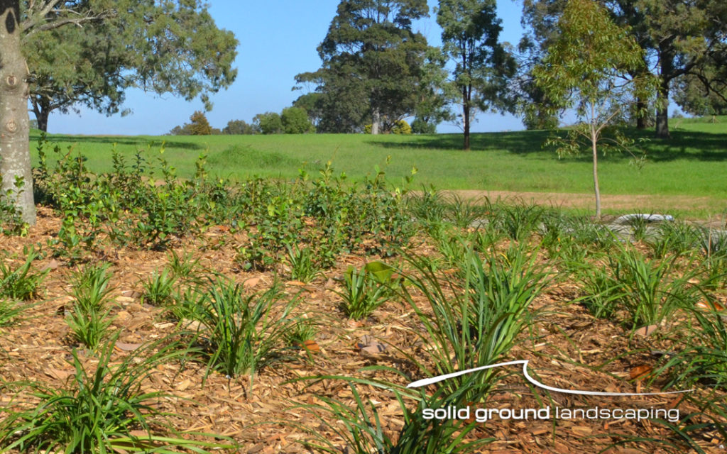 Mulching - now's the time! - Solid Ground Landscaping