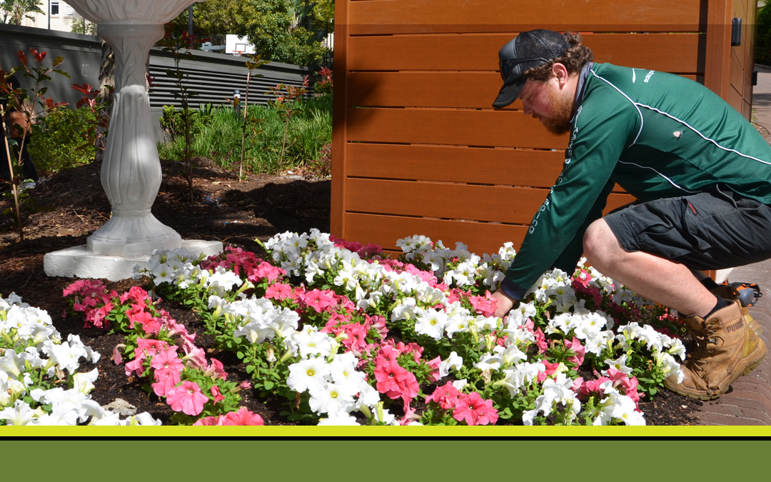 Get a head-start! - Solid Ground Landscaping