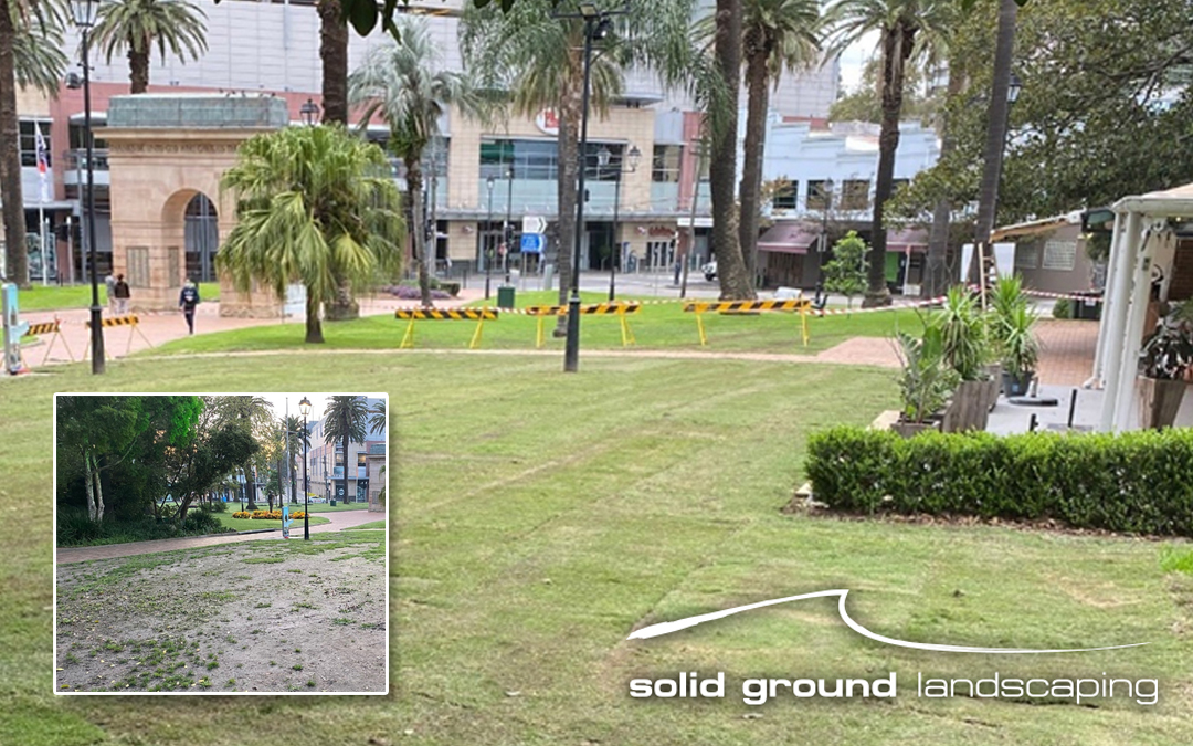 HISTORIC BURWOOD PARK gets a freshen-up. - Solid Ground Landscaping