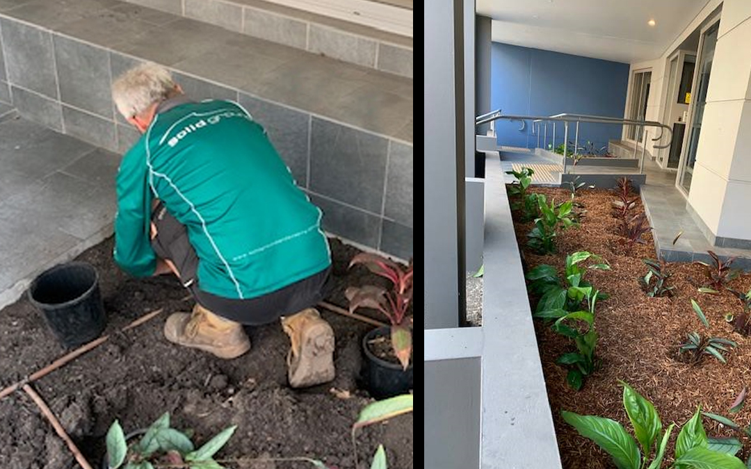 Indoors or Outdoors - Solid Ground Landscaping