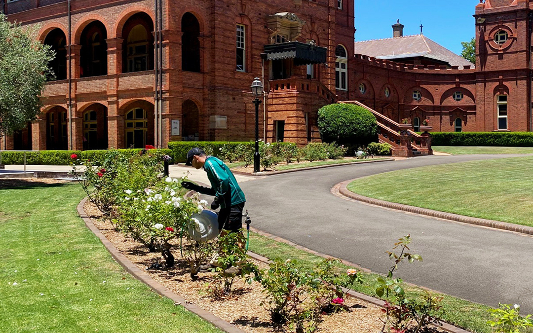 Simply Beautiful - Solid Ground Landscaping