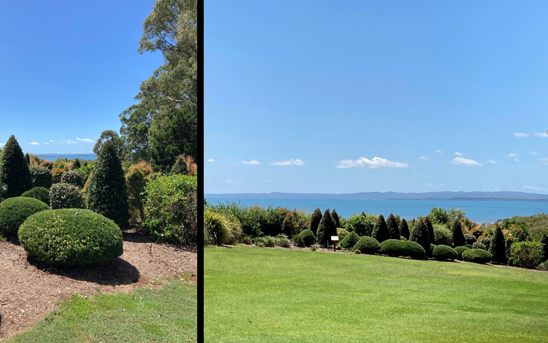 Picturesque Landscape - Solid Ground Landscaping