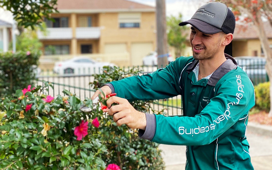 Meet The Team - Solid Ground Landscaping