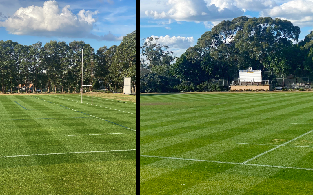 A REAL EYE-CATCHER - Solid Ground Landscaping