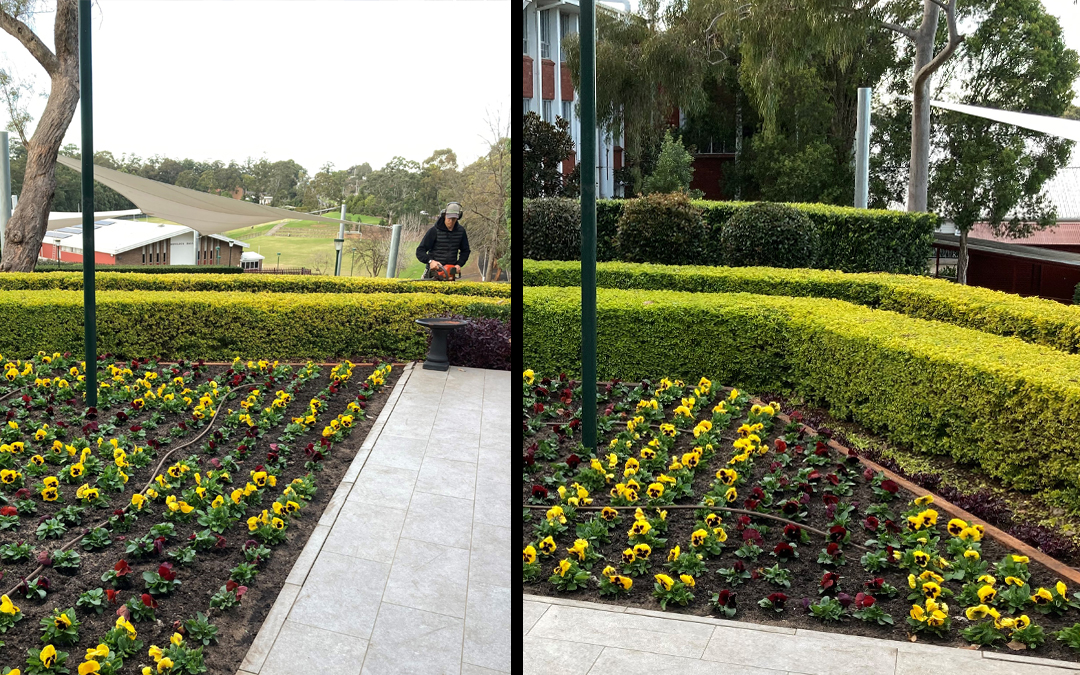 Solid Ground Landscaping