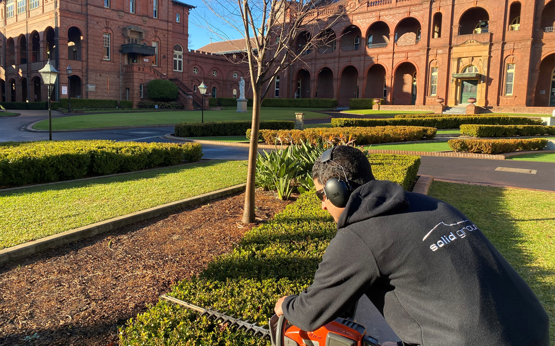 Solid Ground Landscaping