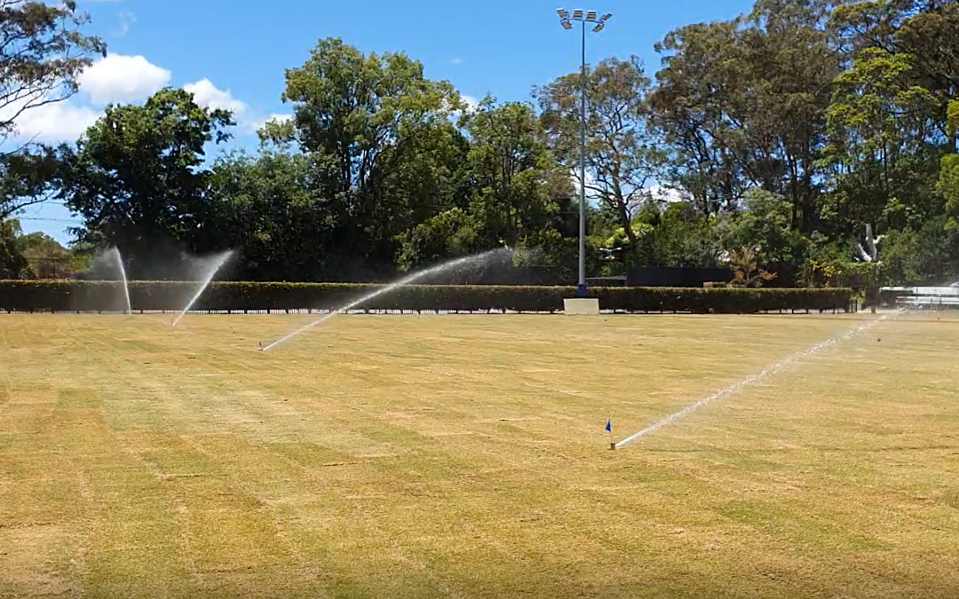 It's Important to HYDRATE - Solid Ground Landscaping