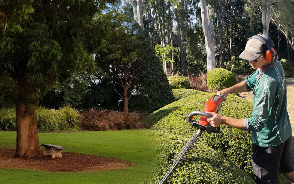 Staying grounded - Solid Ground Landscaping