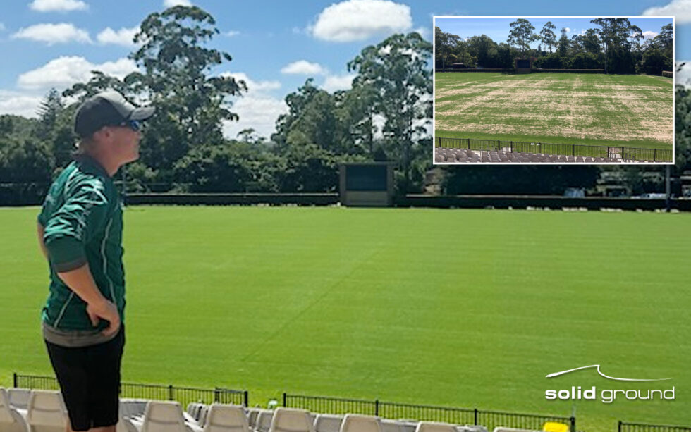 A month later... - Solid Ground Landscaping