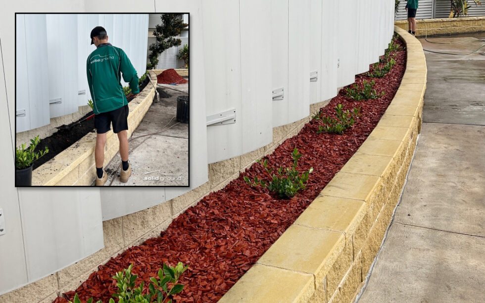 Mini-makeover - Solid Ground Landscaping