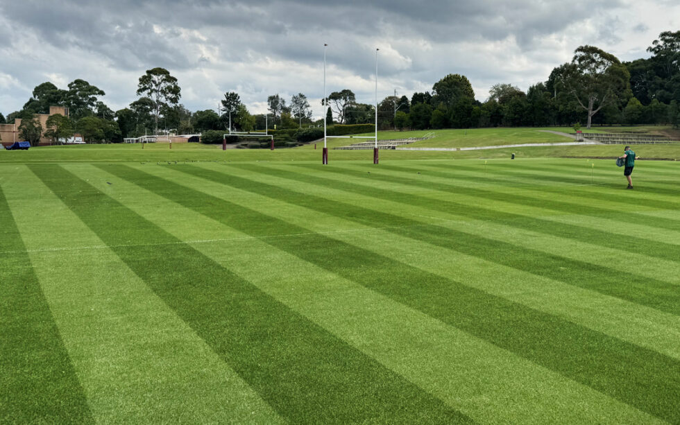 Ready 4 Play - Solid Ground Landscaping